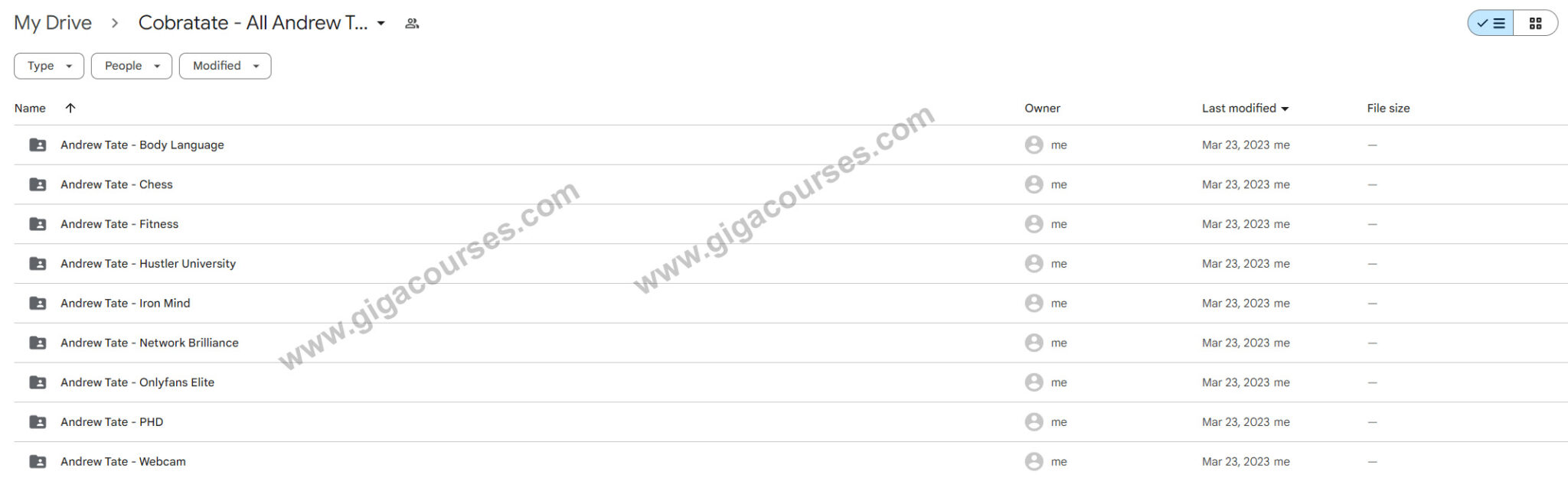 Cobratate - All Andrew Tate Courses Bundle - Giga Courses