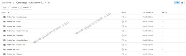 Cobratate - All Andrew Tate Courses Bundle - Giga Courses