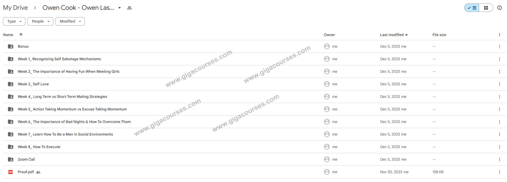 Owen Cook - Owen Last Game Program - Giga Courses